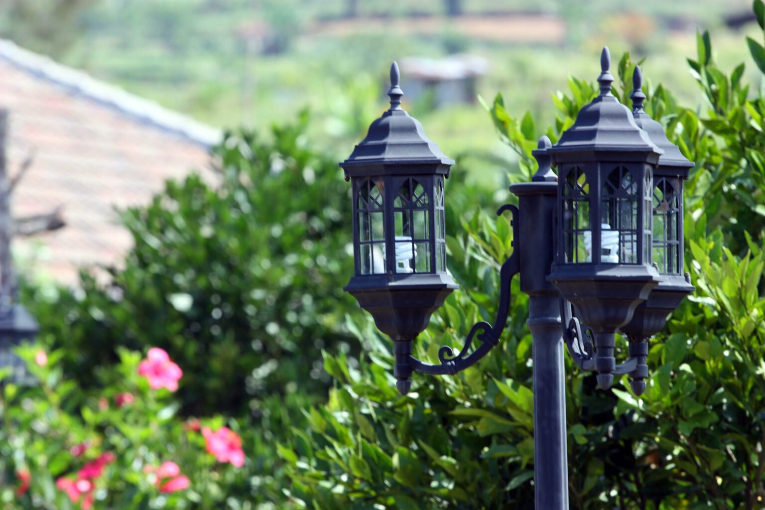 7 Rekomendasi Warna Cat Besi agar Menyatu dengan Tema Taman - Orchid ...